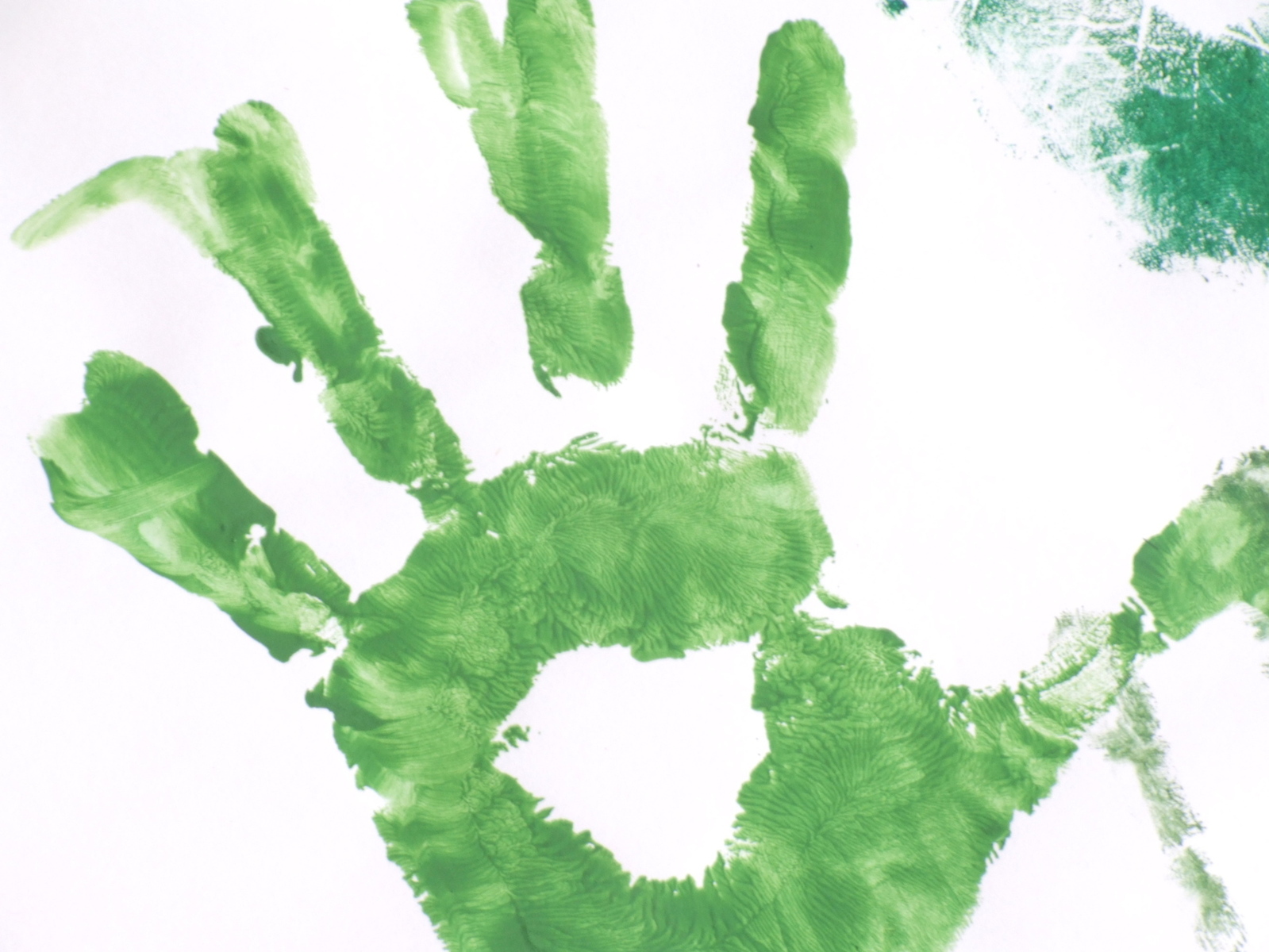 Green Update & Objectives 2019 | Croyde Bay
